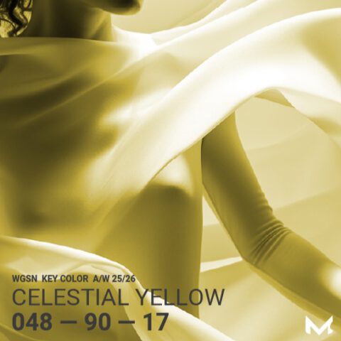 WGSN + COLORO Color Trends A/W 25/26 - moject