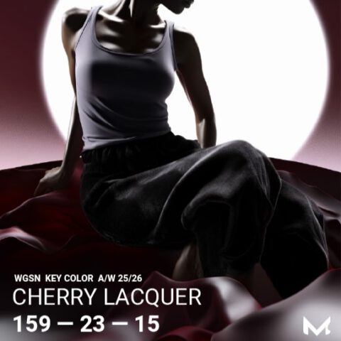 WGSN + COLORO Color Trends A/W 25/26 - moject