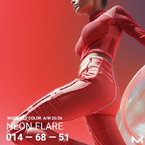 WGSN + COLORO Color Trends A/W 25/26 - moject